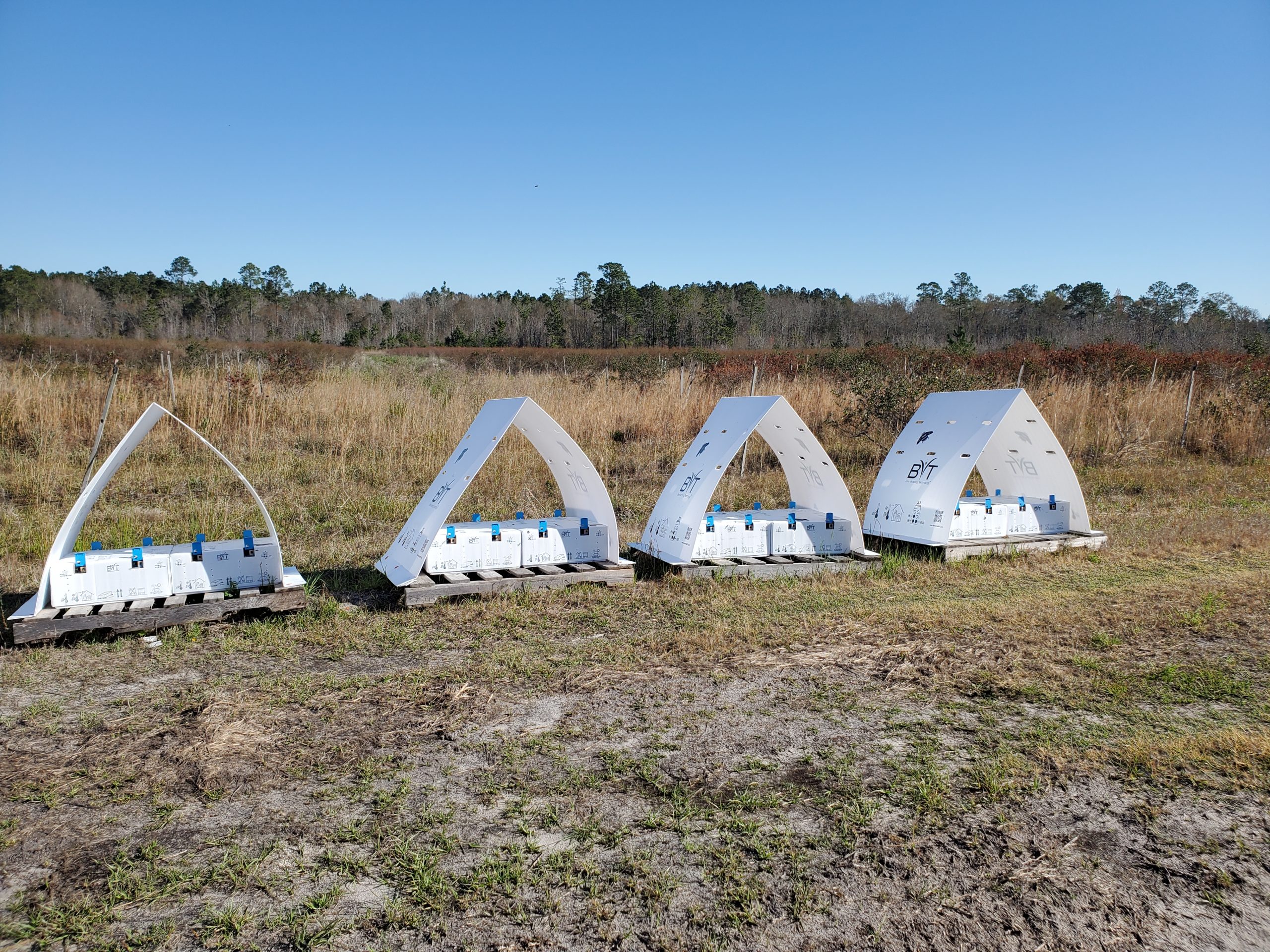 Bee Vectoring Technologies Reports Up to 33% Yield Increase and 70% ...